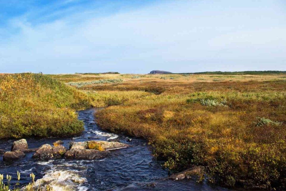 9 Must-Visit Destinations In Newfoundland, Canada