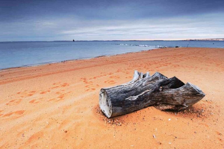 The 10 Best Beaches For A Day Trip Near DC