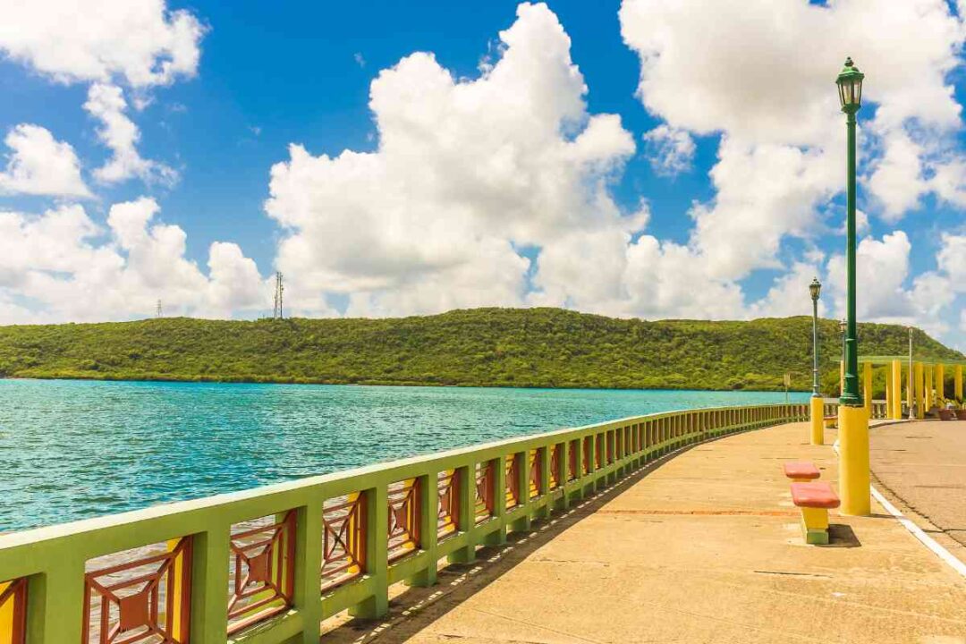 The Best Bioluminescent Bays In Puerto Rico & When To Go