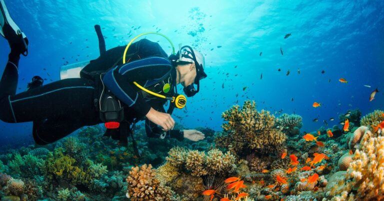 The 9 Best All-Inclusive Resorts With Scuba Diving