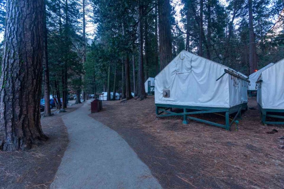 Camping In Yosemite: A Guide To Curry Village Campground