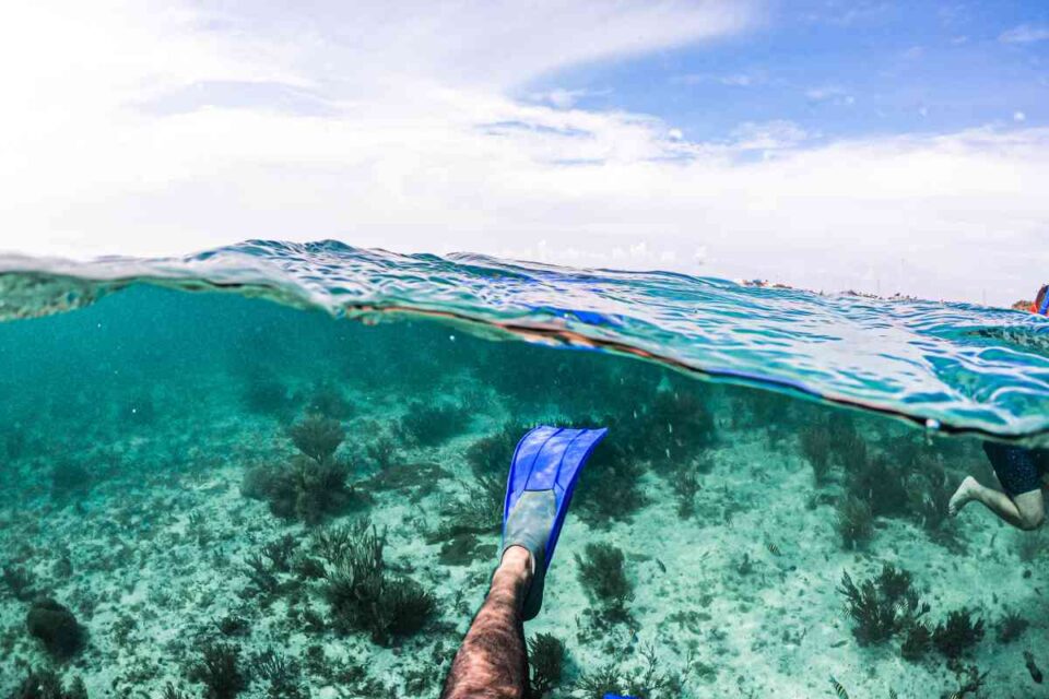 Cancun's Coral Reefs: A Guide To Cancun’s 15 Best Scuba