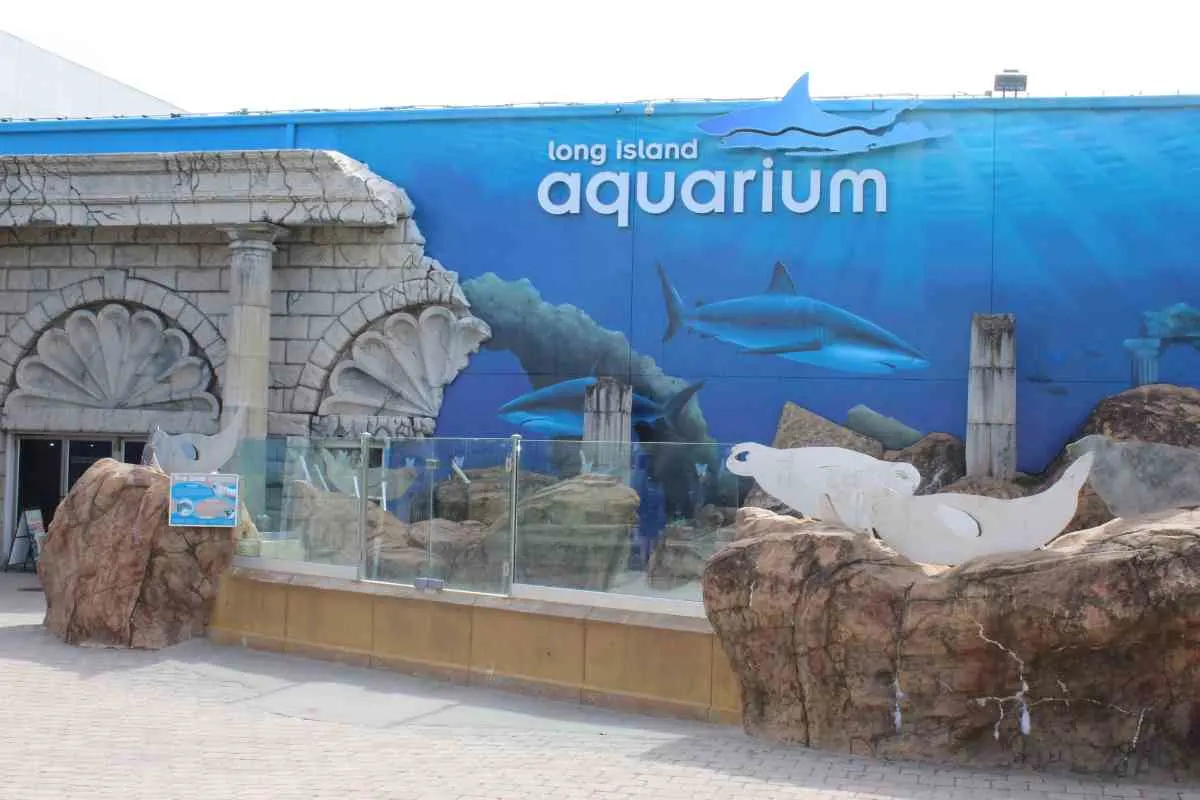 Splish Splash Water Park: A Haven for Thrill-Seekers and Families Alike ...