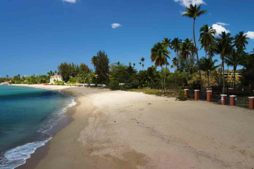 The 9 Best Rincon, Puerto Rico Beaches